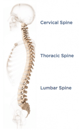 Ortho Spine | Spine Conditions and Treatment | OPA
